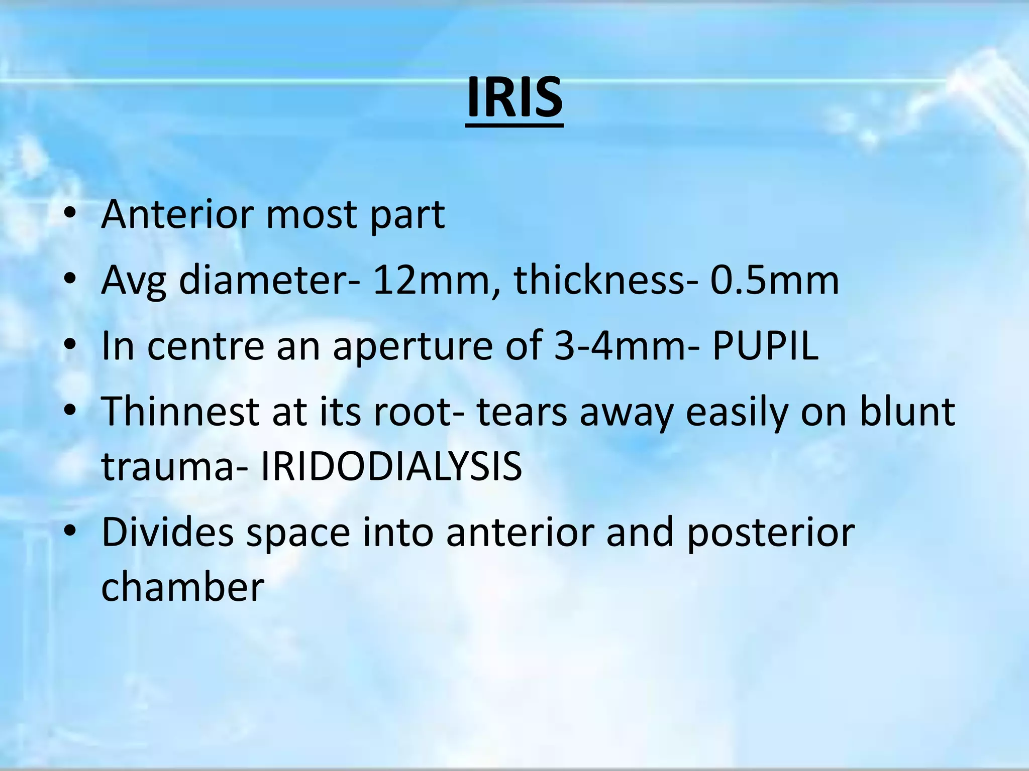 #ANATOMY OF UVEA (IRIS, CILLIARY BODY, CHOROID) | PDF