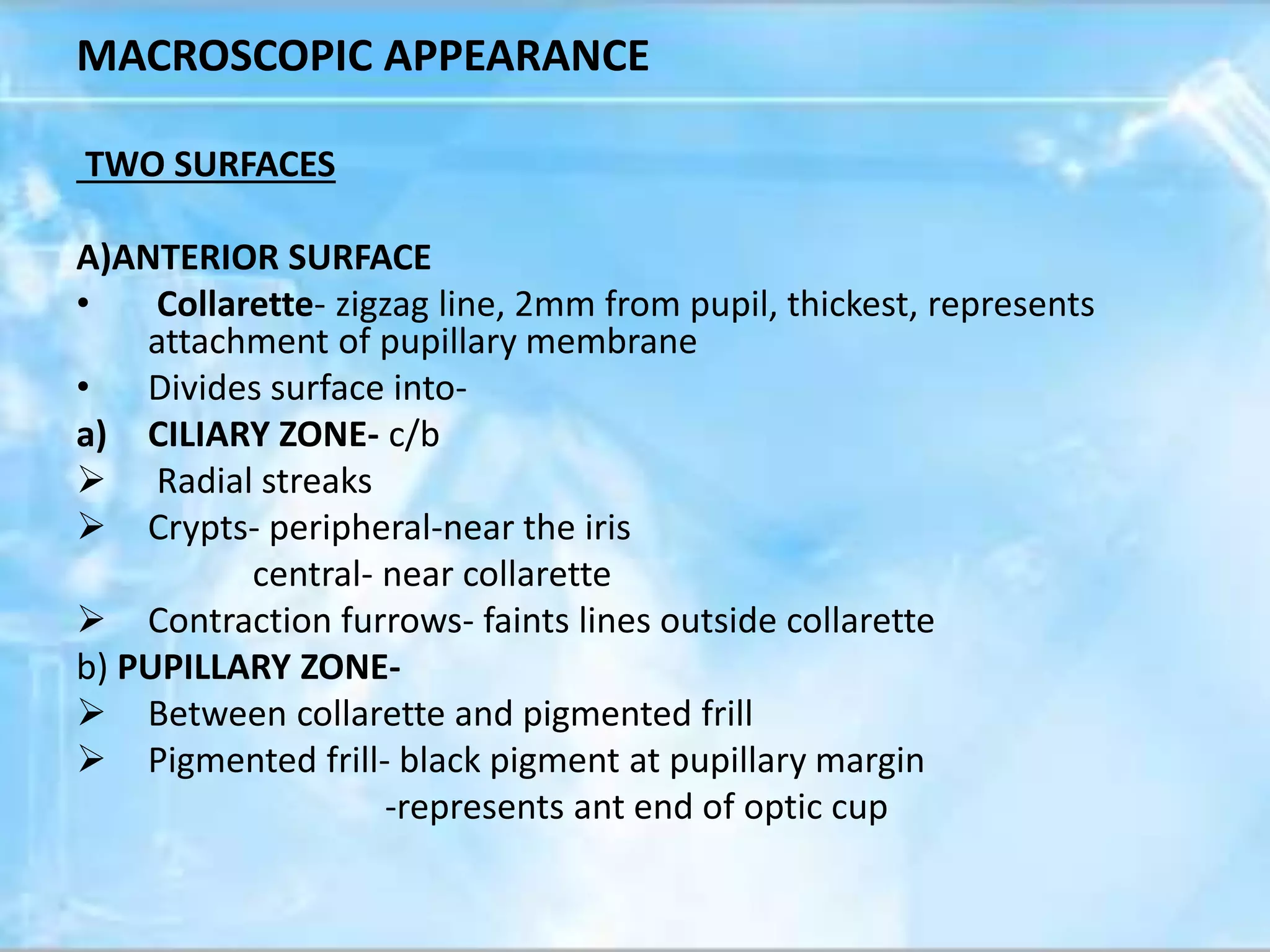 #ANATOMY OF UVEA (IRIS, CILLIARY BODY, CHOROID) | PDF