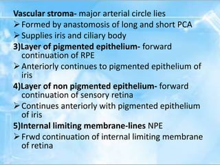 #ANATOMY OF UVEA (IRIS, CILLIARY BODY, CHOROID) | PDF