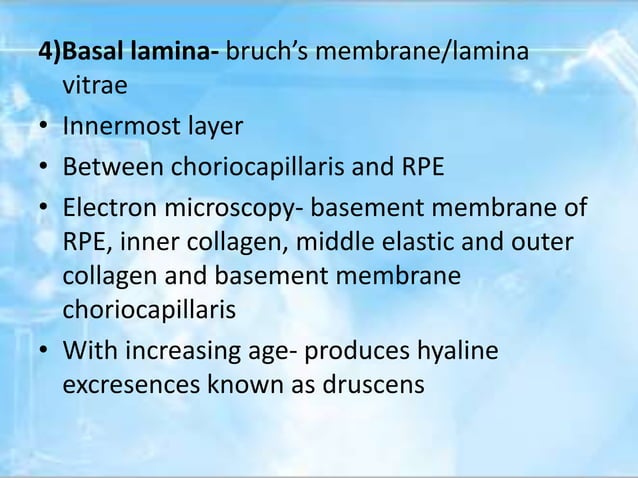 #ANATOMY OF UVEA (IRIS, CILLIARY BODY, CHOROID) | PDF