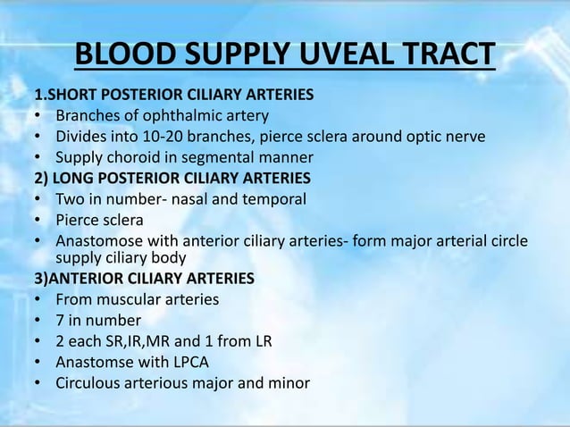 #ANATOMY OF UVEA (IRIS, CILLIARY BODY, CHOROID) | PDF