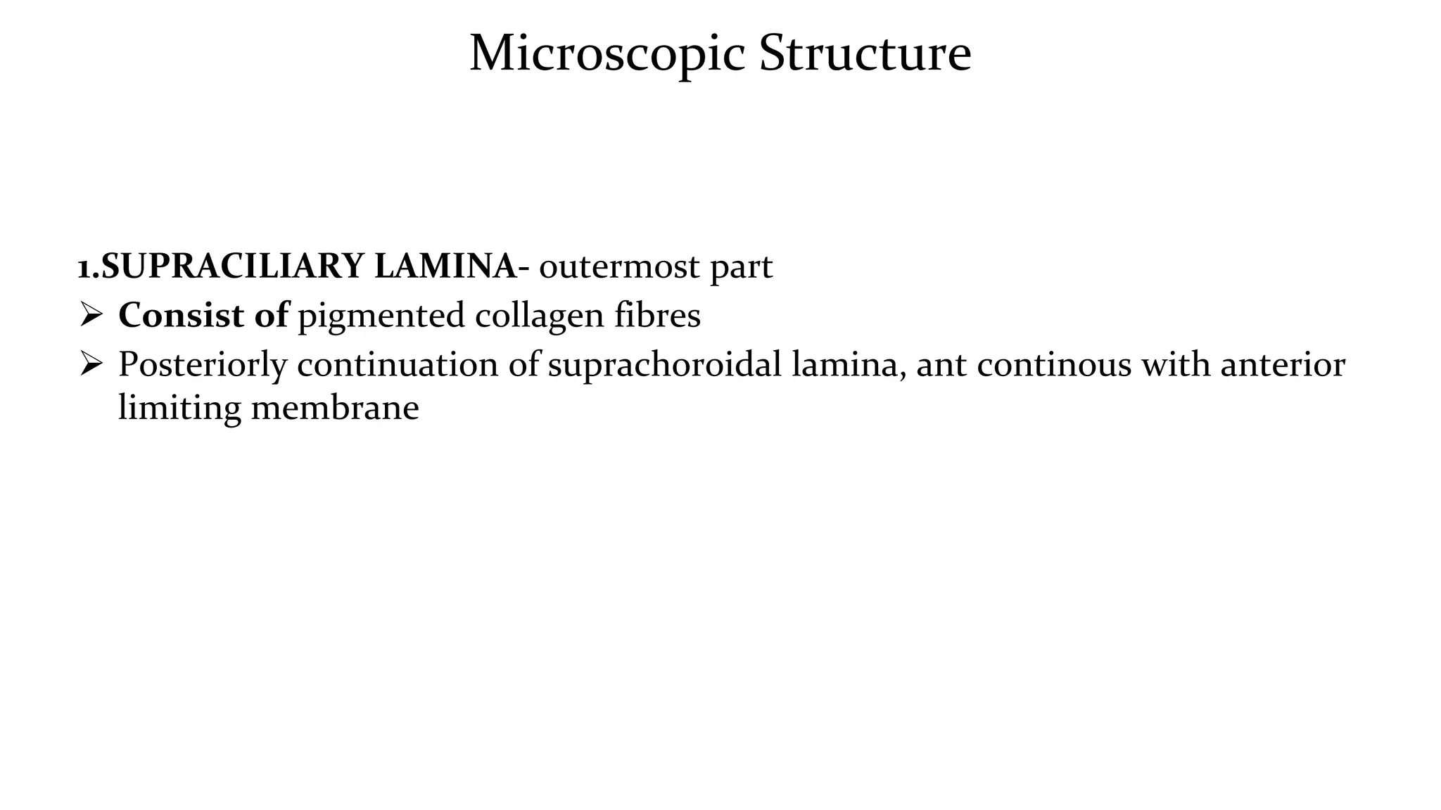 Anatomy of uvea | PPTX