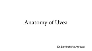 Anatomy of uvea | PPTX