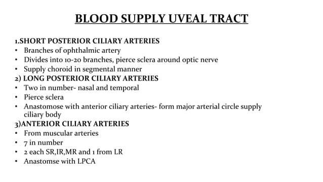 Anatomy of uvea | PPTX