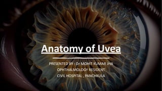 anatomyofuvea , iris , ciliary body , choroid | PPT