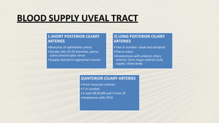 anatomyofuvea , iris , ciliary body , choroid | PPTX | Eye and Vision ...