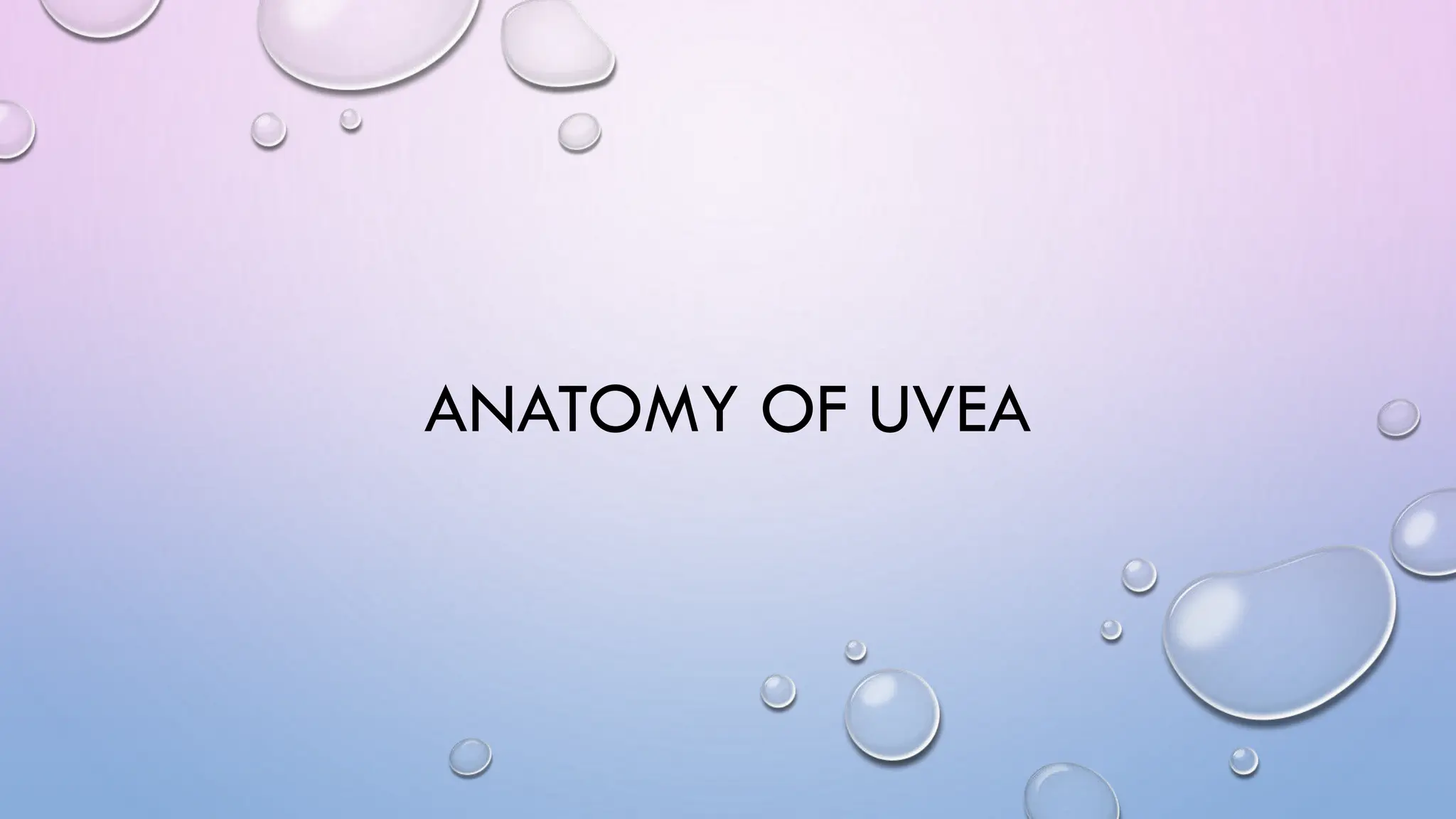 ANATOMY OF UVEA.pdf