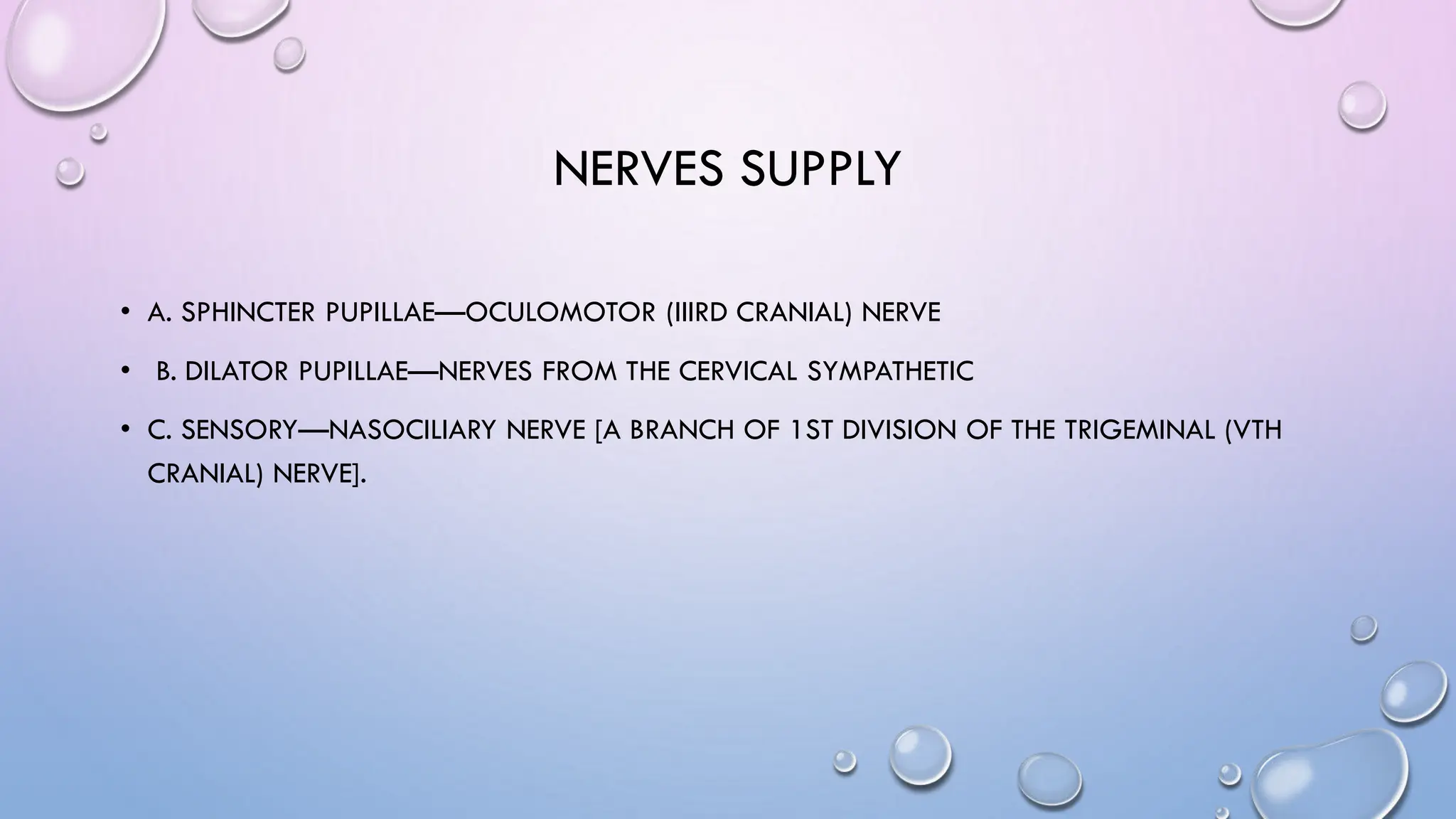 ANATOMY OF UVEA.pdf