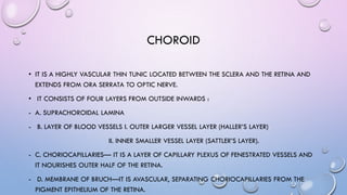 ANATOMY OF UVEA.pdf
