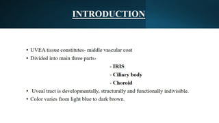 ANATOMY OF UVEA.pptx