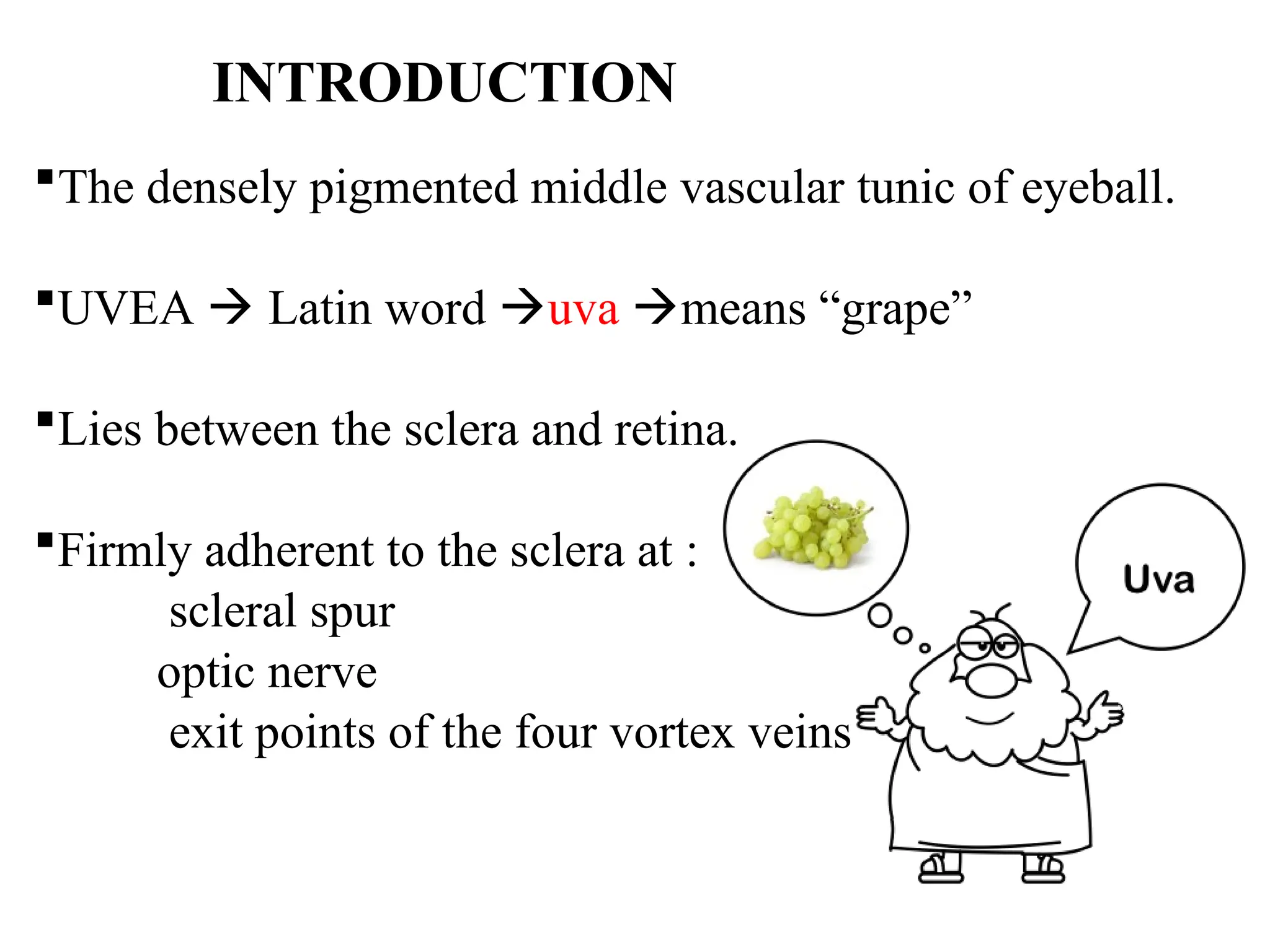 Anatomy of uvea and mechanism of uveitis.ppt