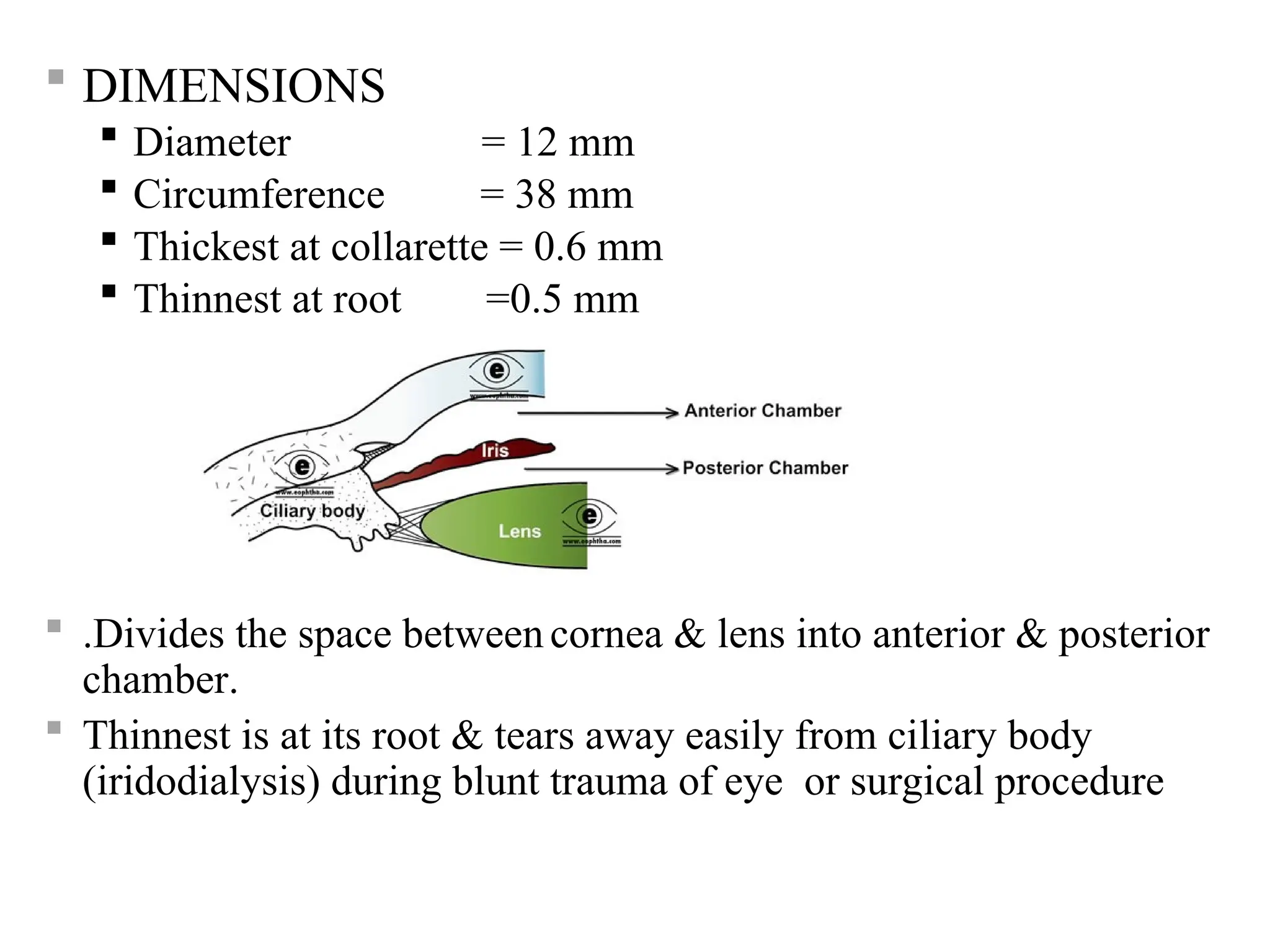 Anatomy of uvea and mechanism of uveitis.ppt