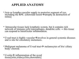 Anatomy of uvea and mechanism of uveitis.ppt