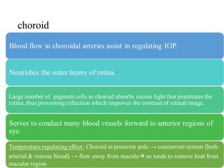 Anatomy of uvea and mechanism of uveitis.ppt