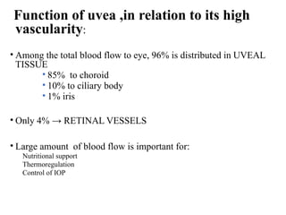 Anatomy of uvea and mechanism of uveitis.ppt