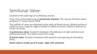 Anatomy of valves of the human heart by Dr. Karle Geetanjali | PPTX