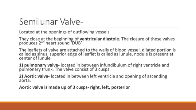 Anatomy of valves of the human heart by Dr. Karle Geetanjali | PPTX