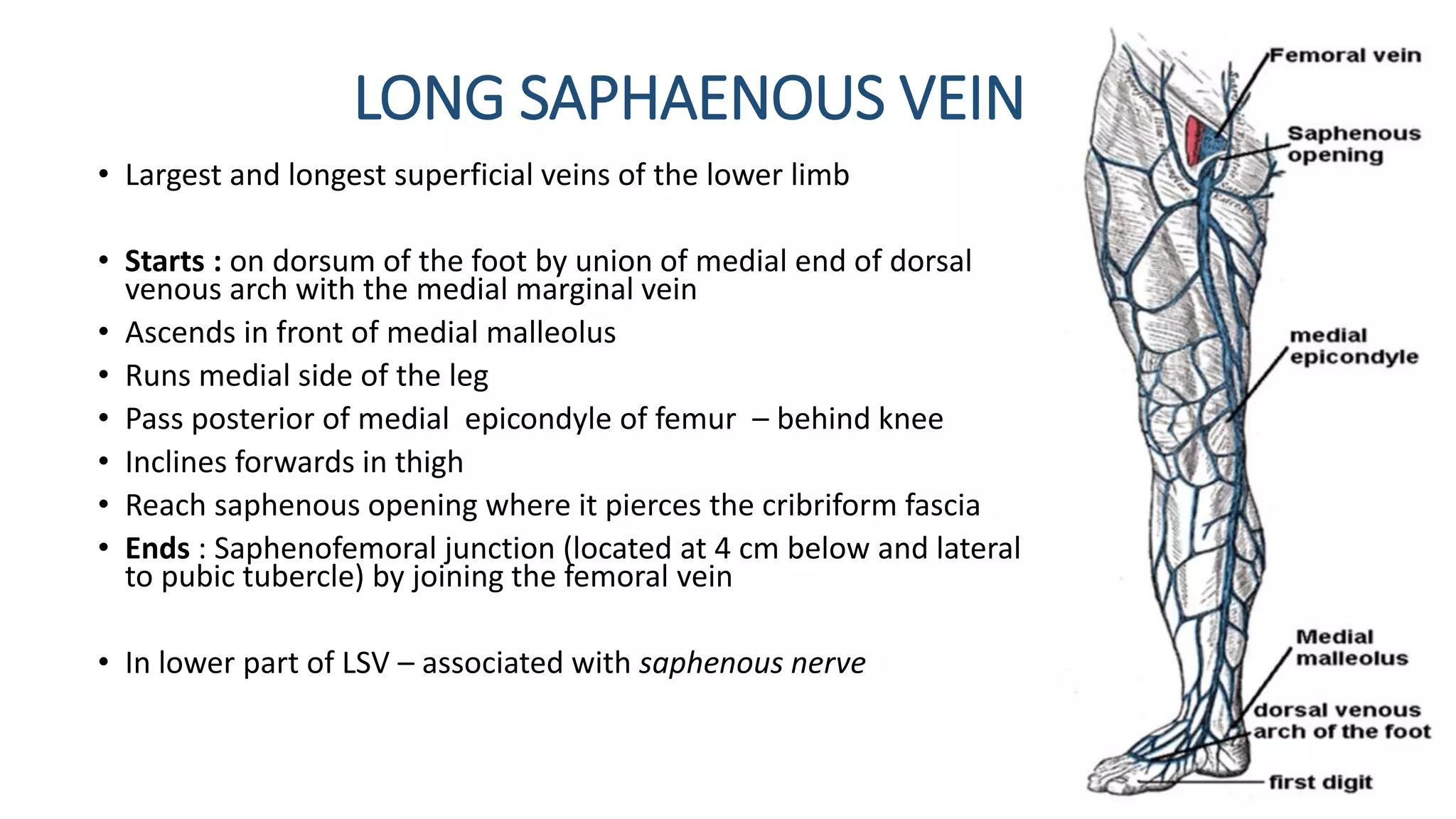 ANATOMY OF VENOUS SYSTEM.pptx