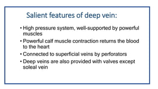 ANATOMY OF VENOUS SYSTEM.pptx