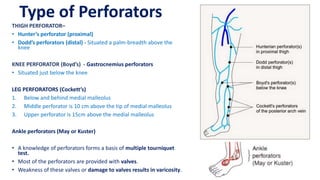 ANATOMY OF VENOUS SYSTEM.pptx