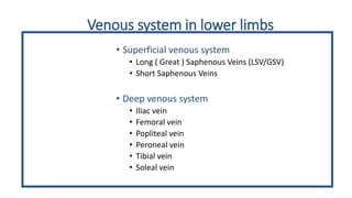 ANATOMY OF VENOUS SYSTEM.pptx