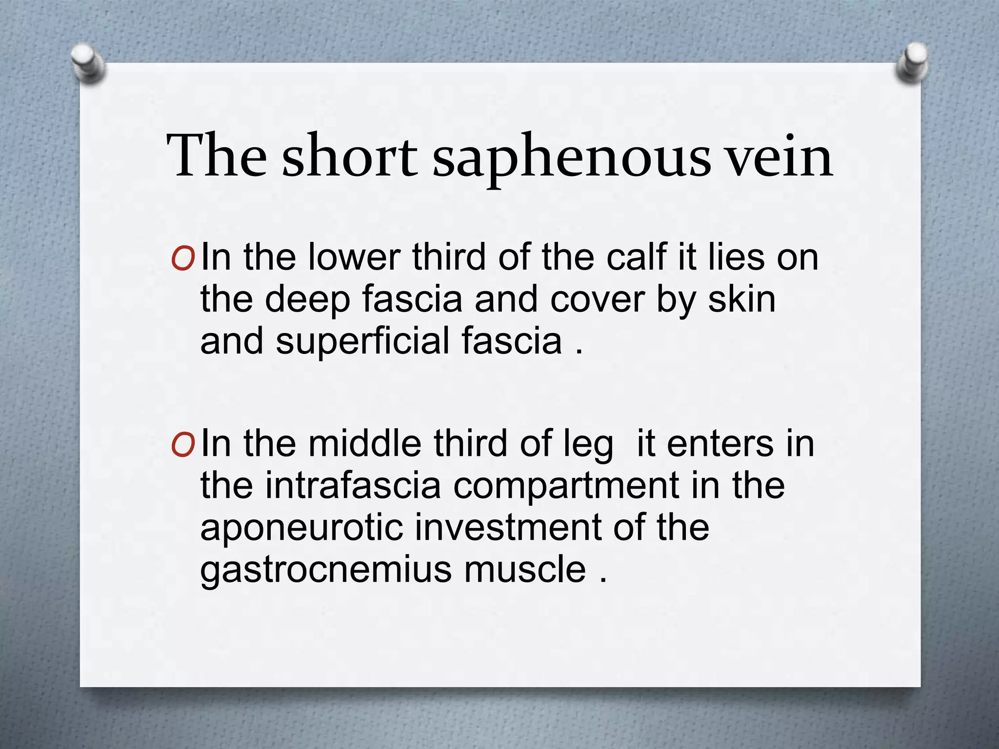 Anatomy of venous system of lower limb | PPTX