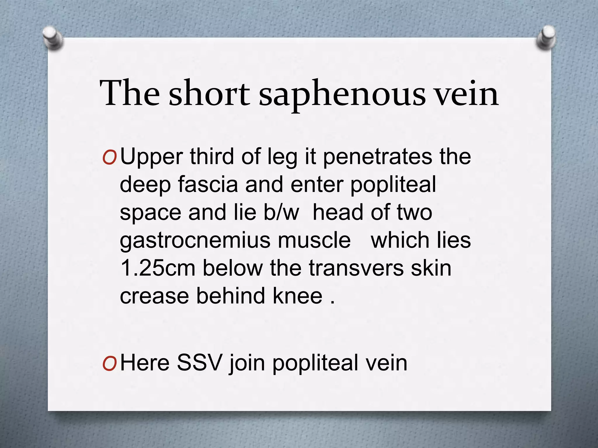Anatomy of venous system of lower limb | PPTX