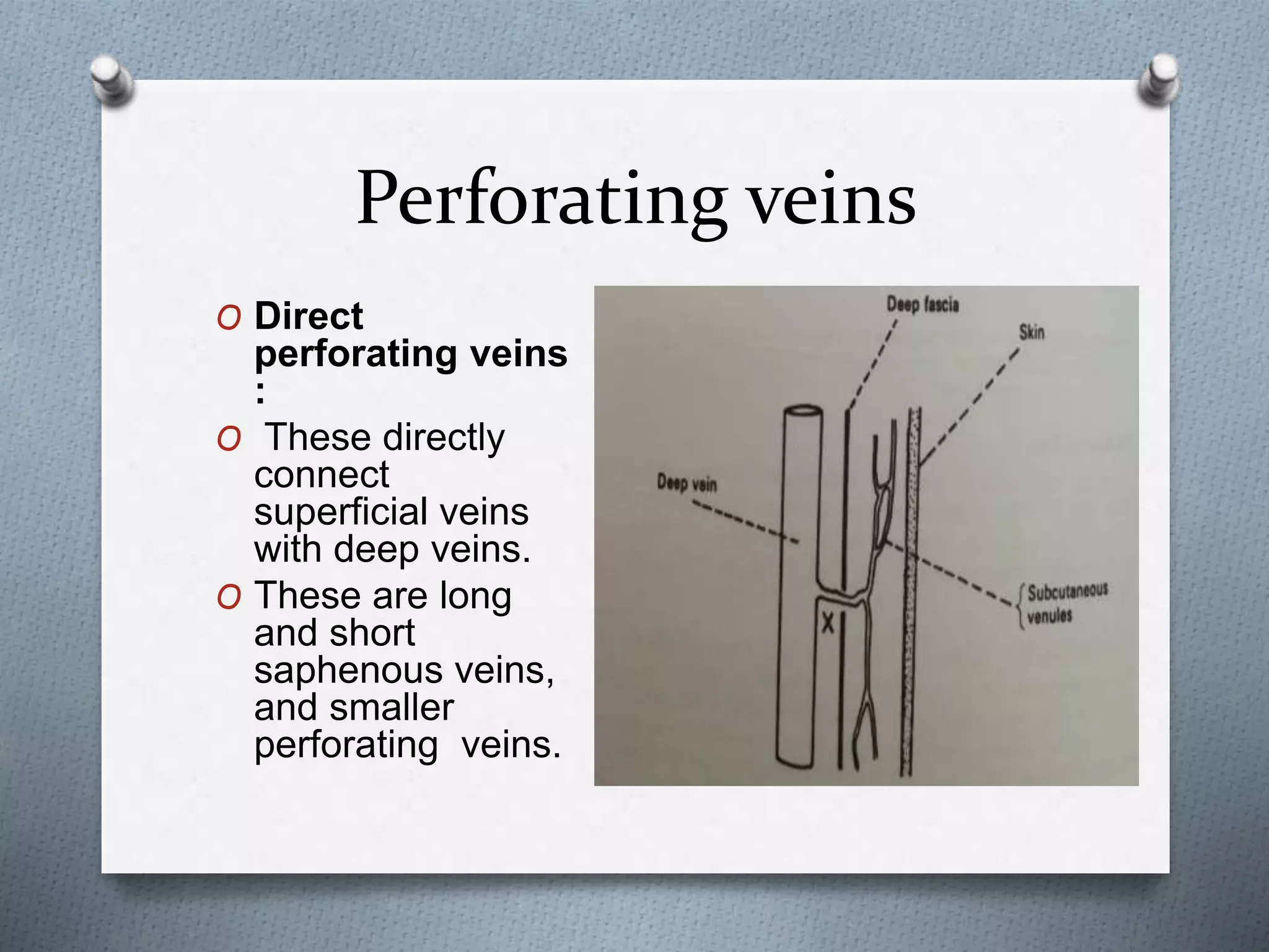 Anatomy of venous system of lower limb | PPTX