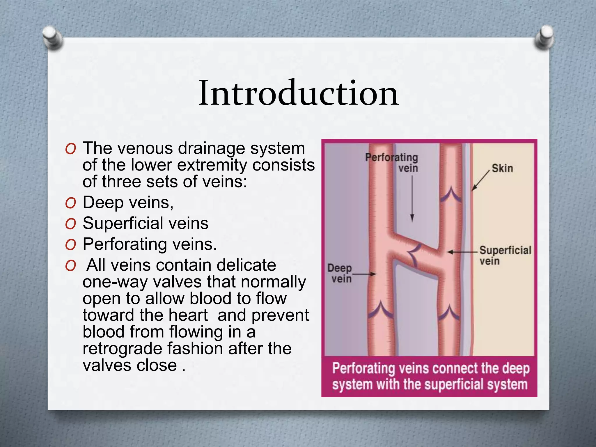 Anatomy of venous system of lower limb | PPTX