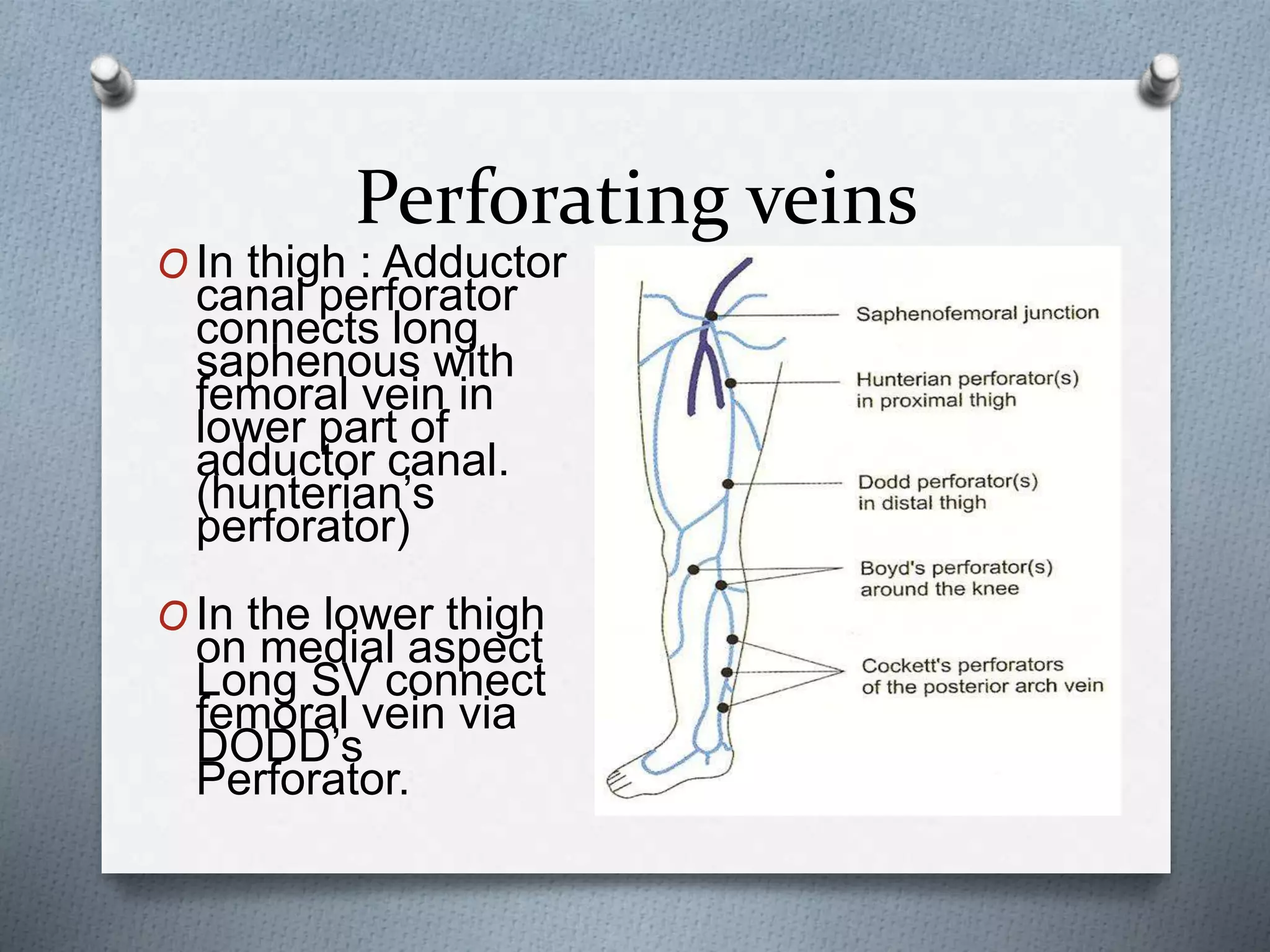 Anatomy of venous system of lower limb | PPTX