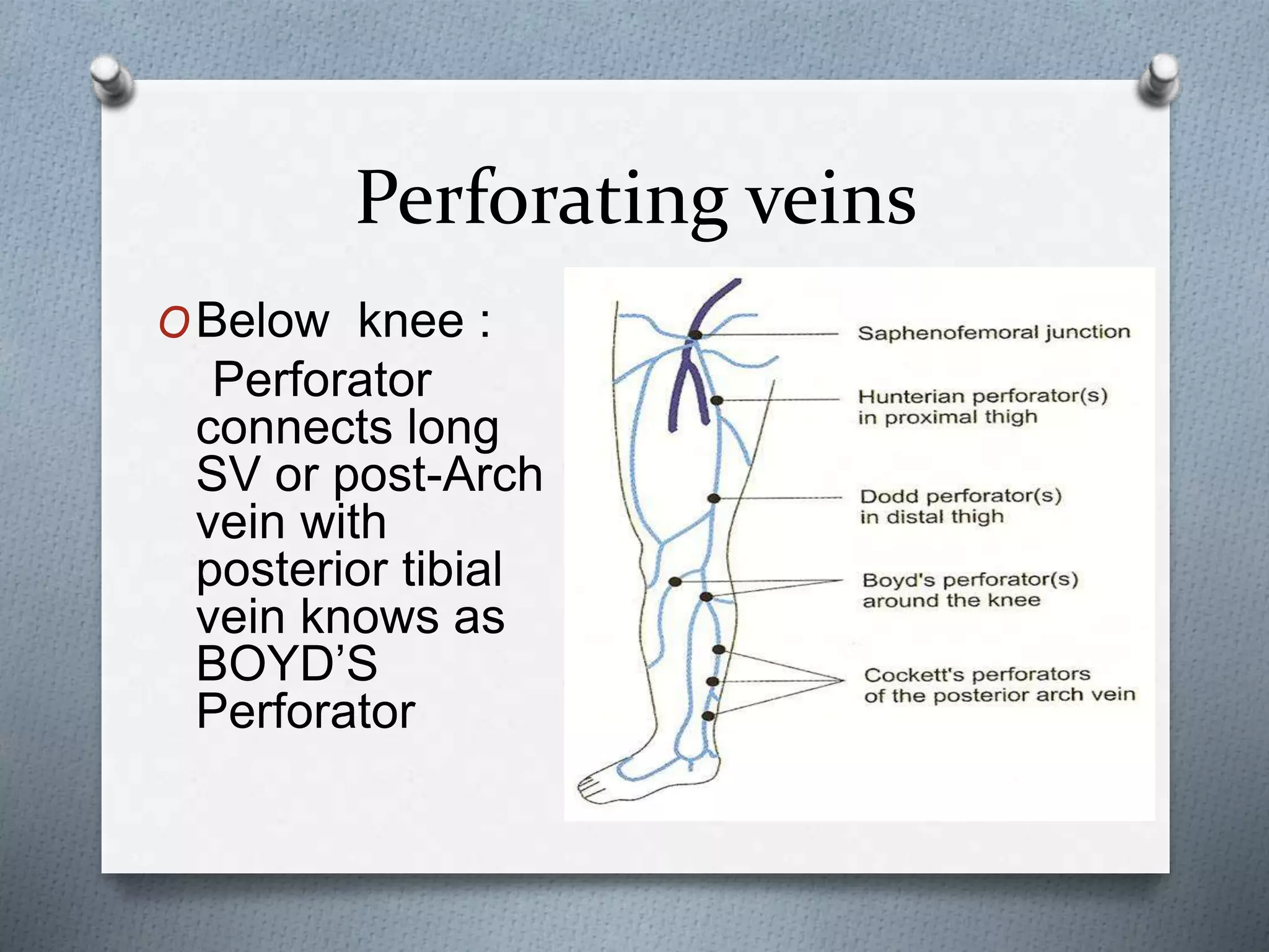 Anatomy of venous system of lower limb | PPTX