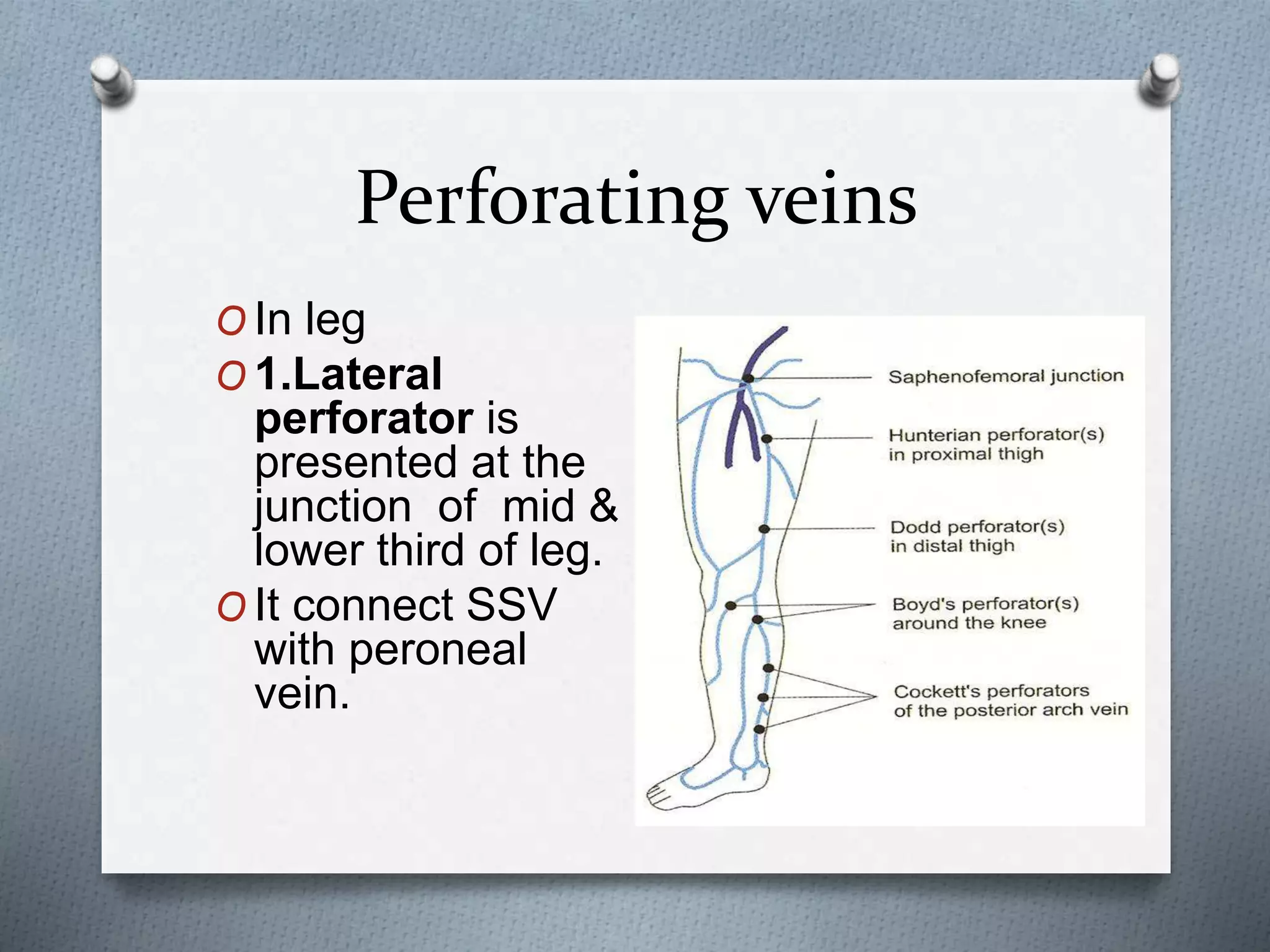 Anatomy of venous system of lower limb | PPTX