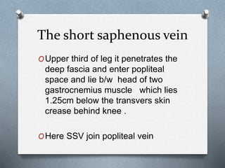 Anatomy of venous system of lower limb | PPTX