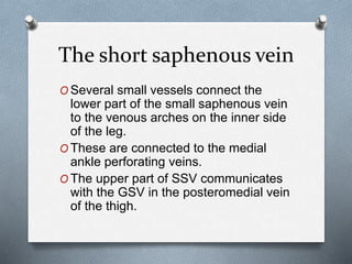 Anatomy of venous system of lower limb | PPTX