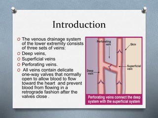 Anatomy of venous system of lower limb | PPTX