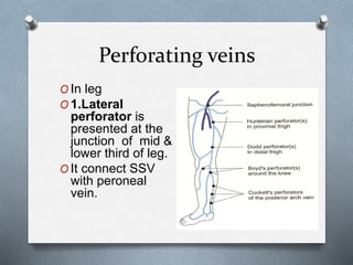 Anatomy of venous system of lower limb | PPTX
