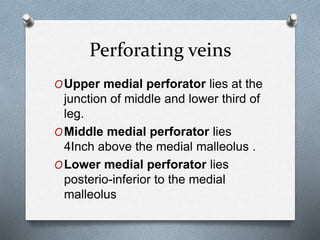 Anatomy of venous system of lower limb | PPTX