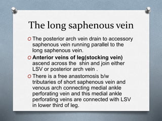 Anatomy of venous system of lower limb | PPTX