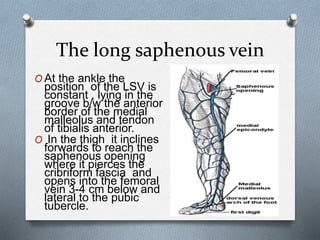 Anatomy of venous system of lower limb | PPT