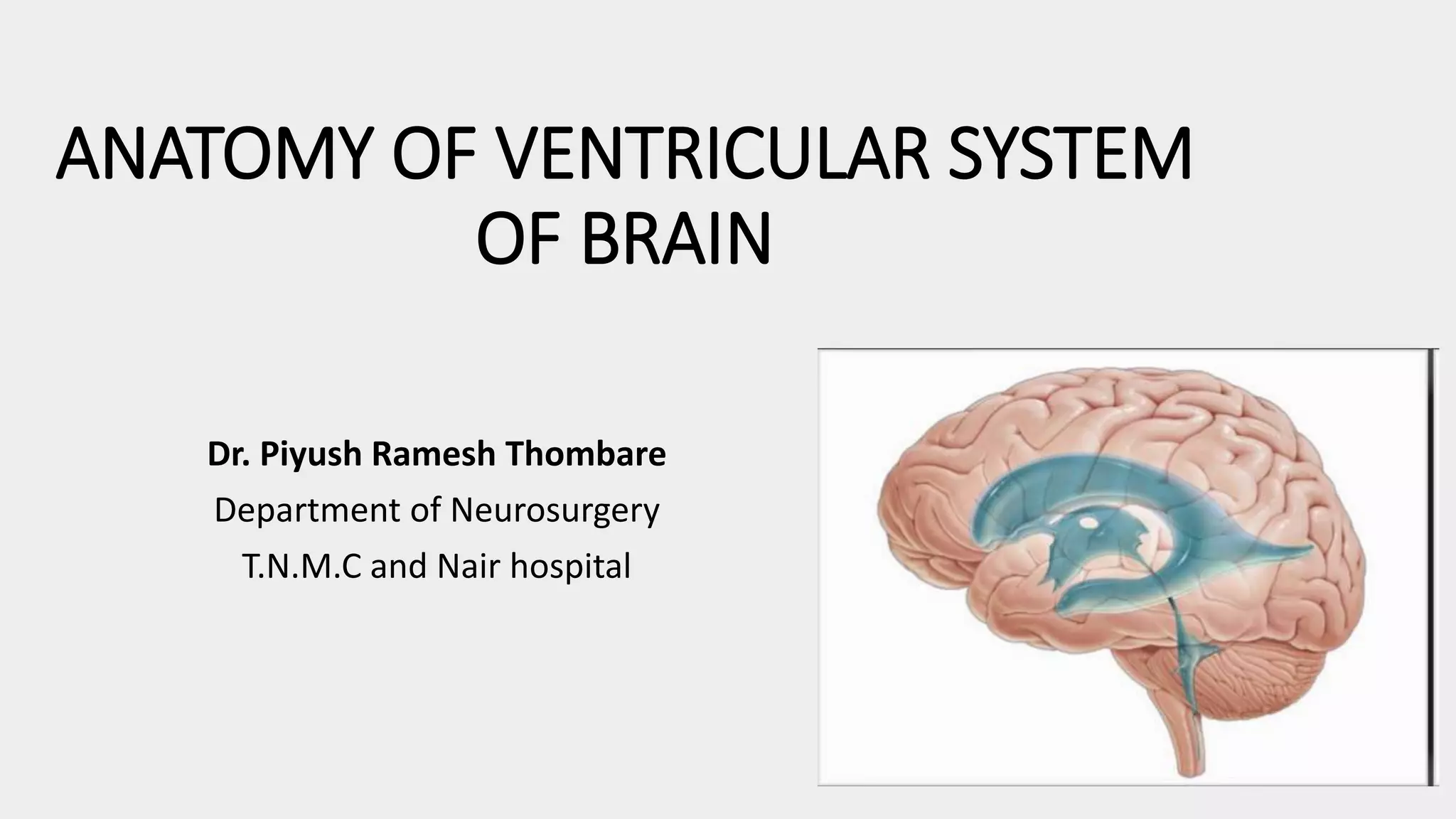 ANATOMY OF VENTRICLES OF BRAIN | PPTX