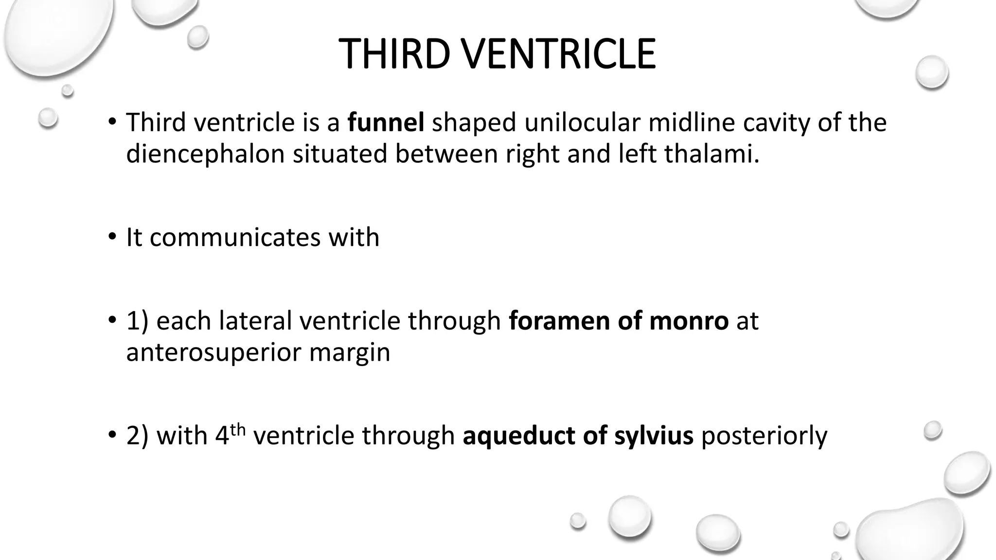 ANATOMY OF VENTRICLES OF BRAIN | PPTX