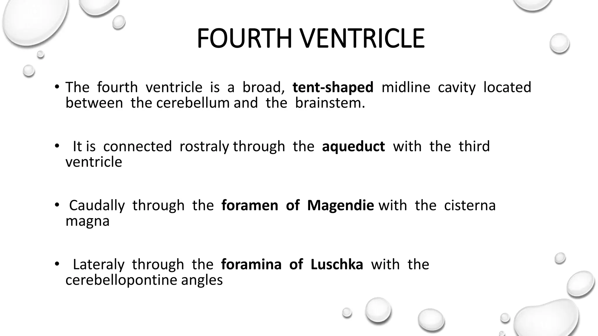 ANATOMY OF VENTRICLES OF BRAIN | PPTX
