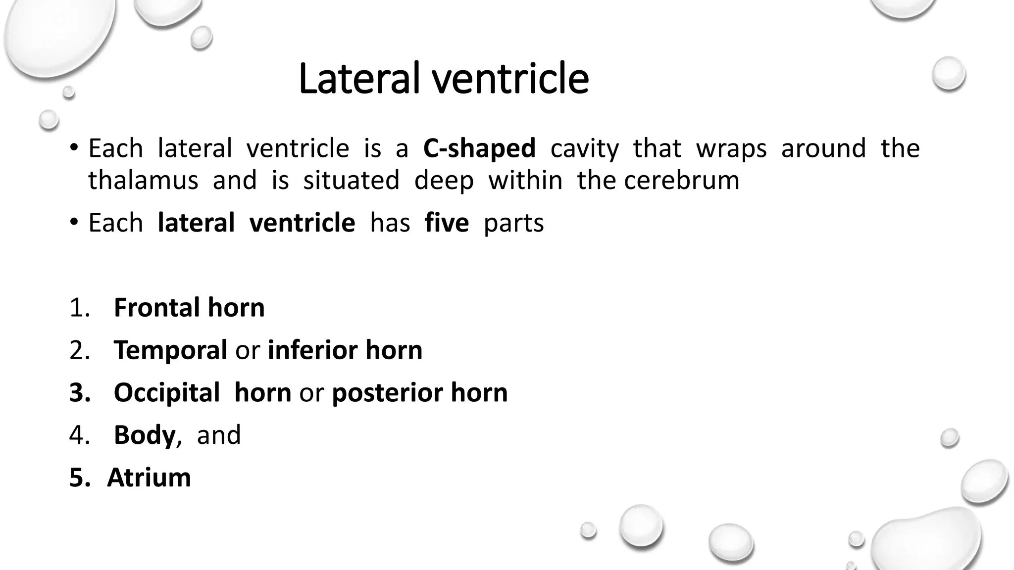 ANATOMY OF VENTRICLES OF BRAIN | PPTX