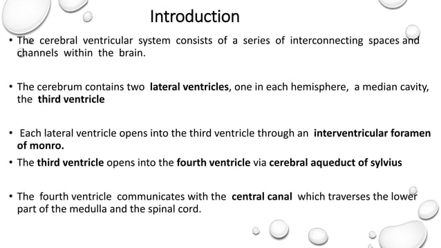 ANATOMY OF VENTRICLES OF BRAIN | PPTX