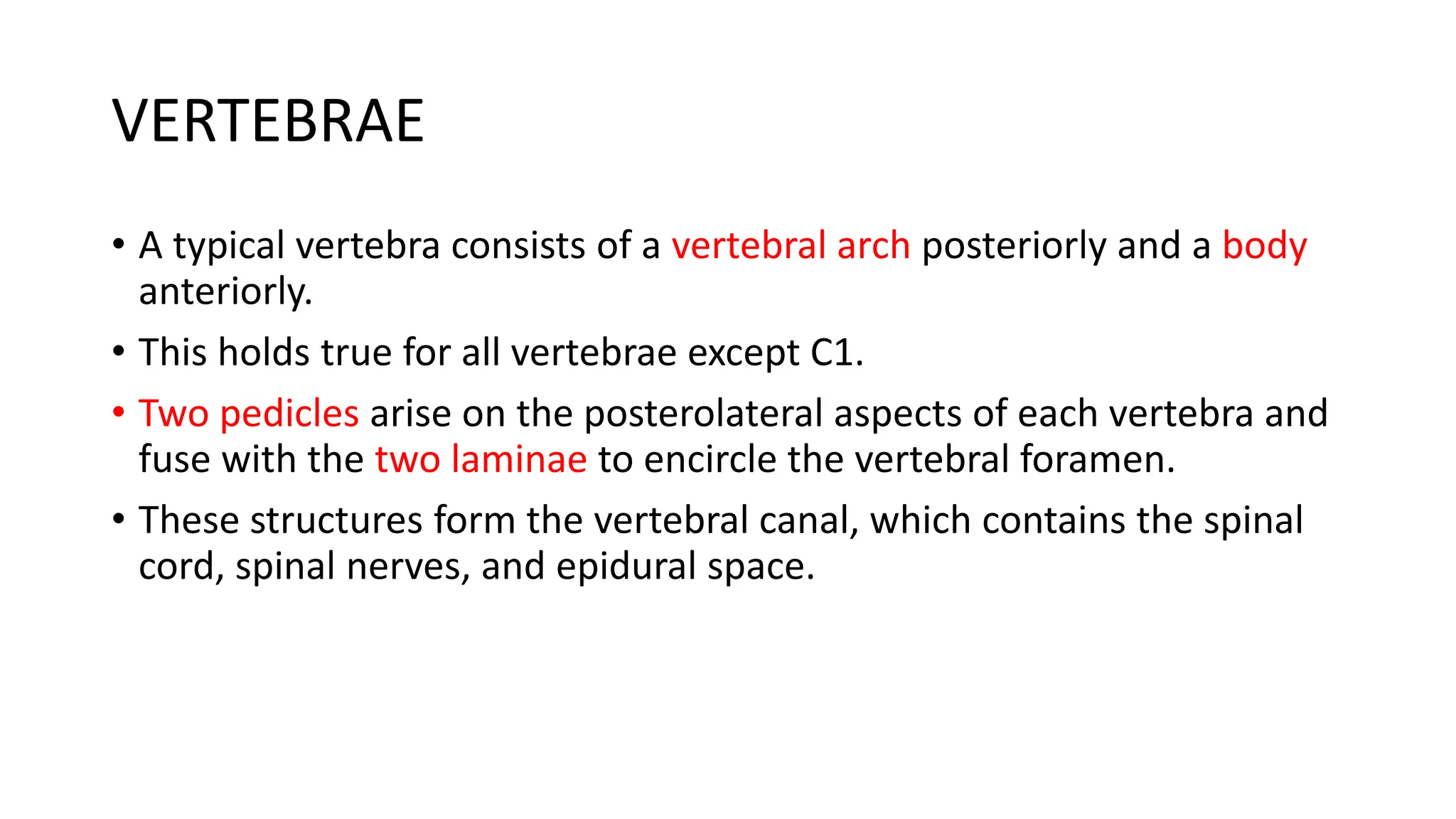 anatomy of vertebral column.pptx