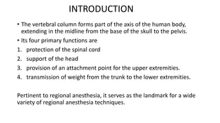 anatomy of vertebral column.pptx
