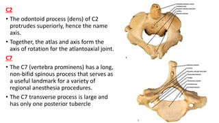 anatomy of vertebral column.pptx