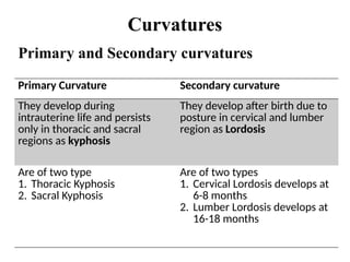 Anatomy of vertebral column for BAMS 1st.pptx