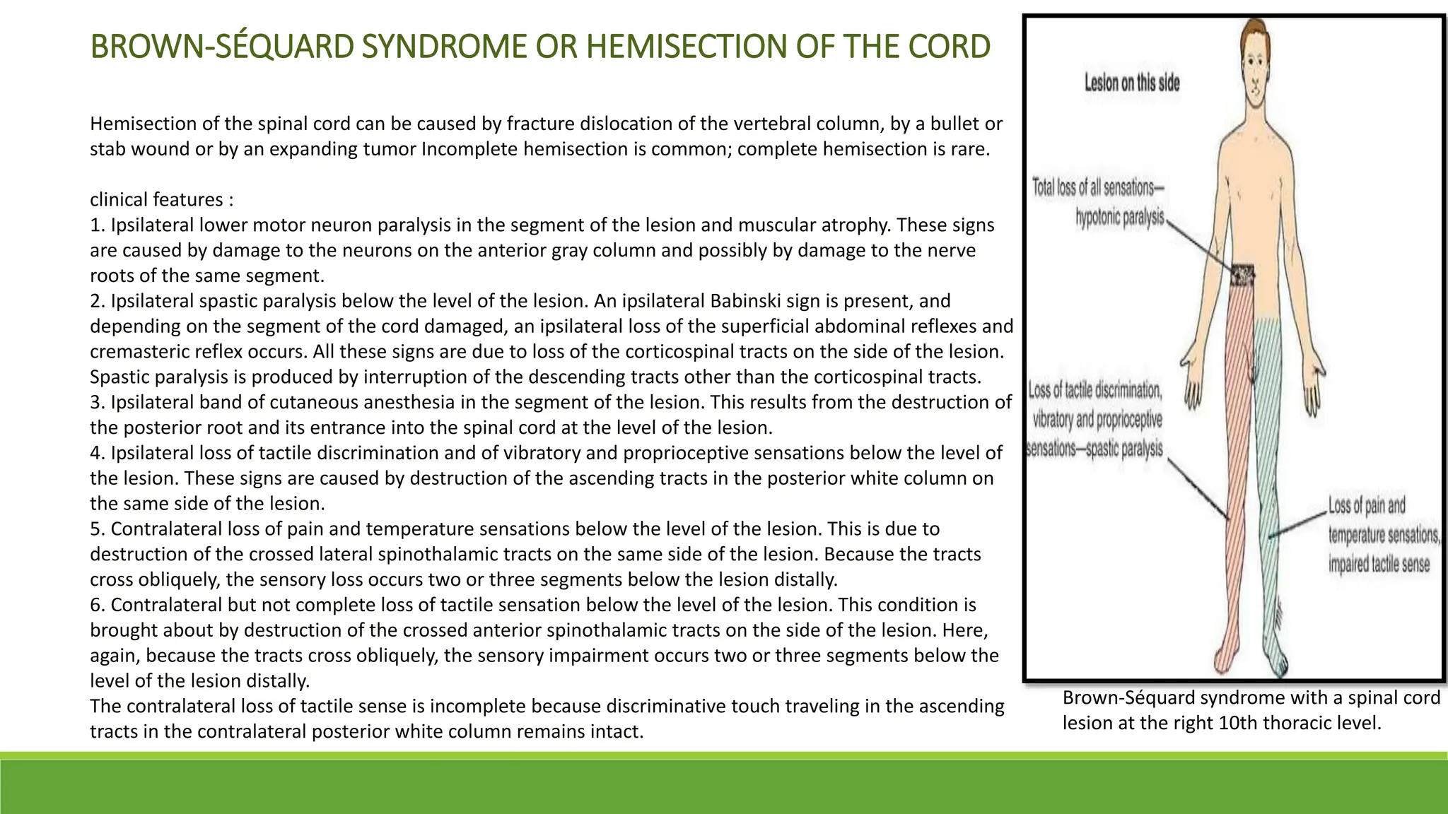 ANATOMY OF VERTEBRAL COLUMN AND SPINAL CORD.pptx