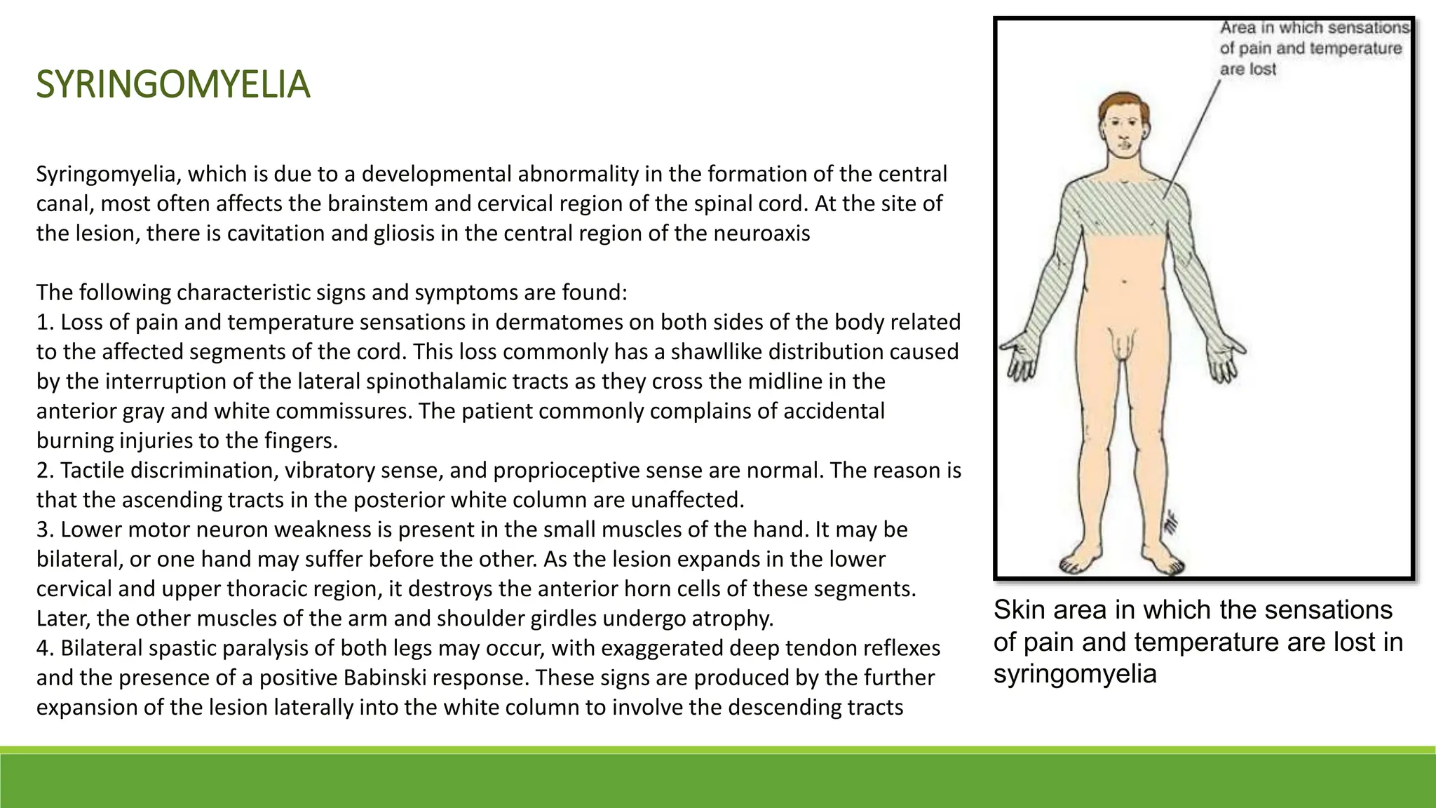 ANATOMY OF VERTEBRAL COLUMN AND SPINAL CORD.pptx